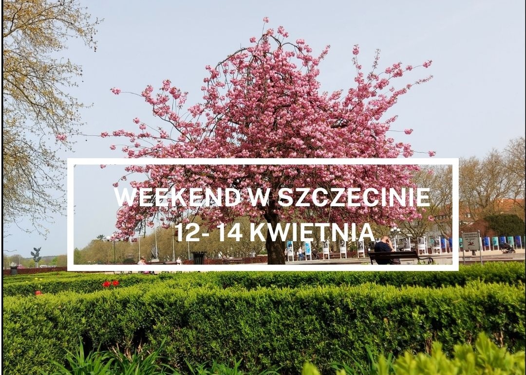 Więcej kursów linii 52 – ZDiTM Szczecin