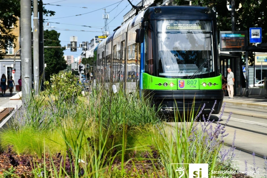 Wiadomości Szczecin - Zielony plac Zwycięstwa